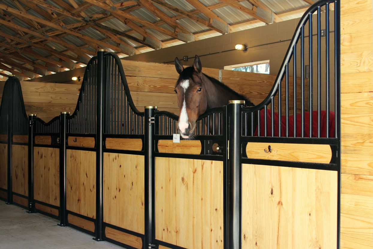 Stall Gallery - Triton European Stalls